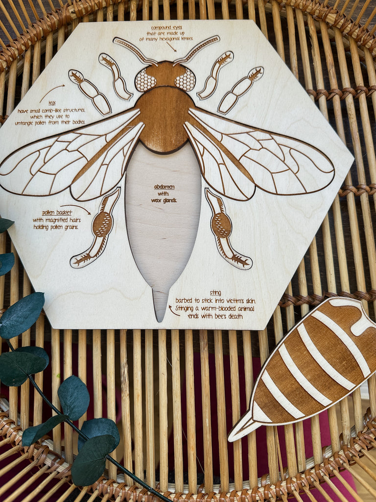 Wooden Bee Puzzle- Large – ChloeBee